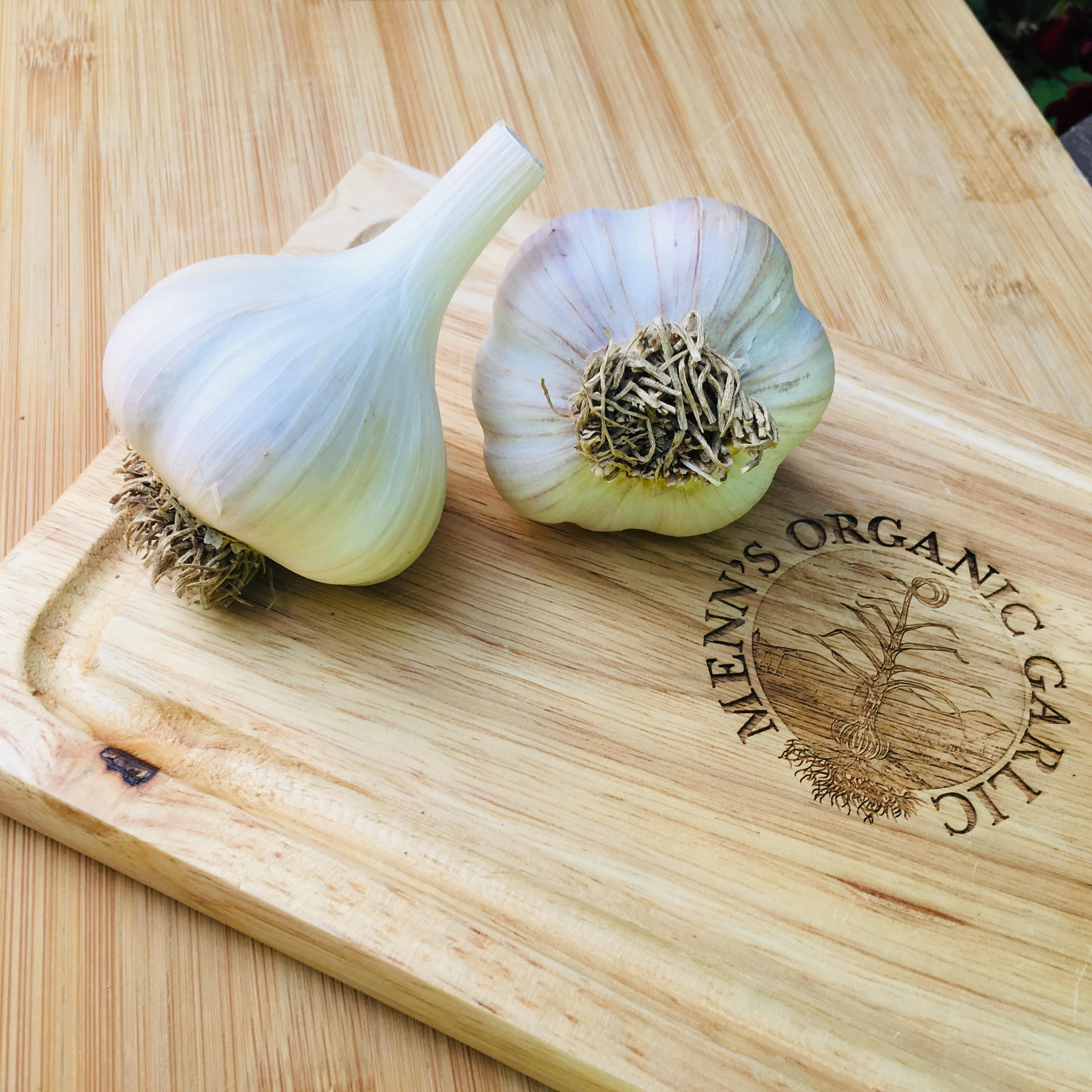 Georgian Crystal – Menn's organic garlic
